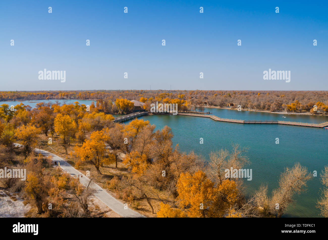 Poplar Lin, lake, reflection, beautiful scenery Stock Photo - Alamy