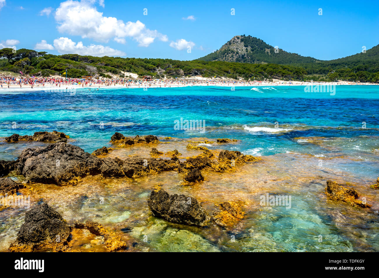 Beach of Cala Agulla near Cala Rajada, Mallorca, Spain Stock Photo - Alamy