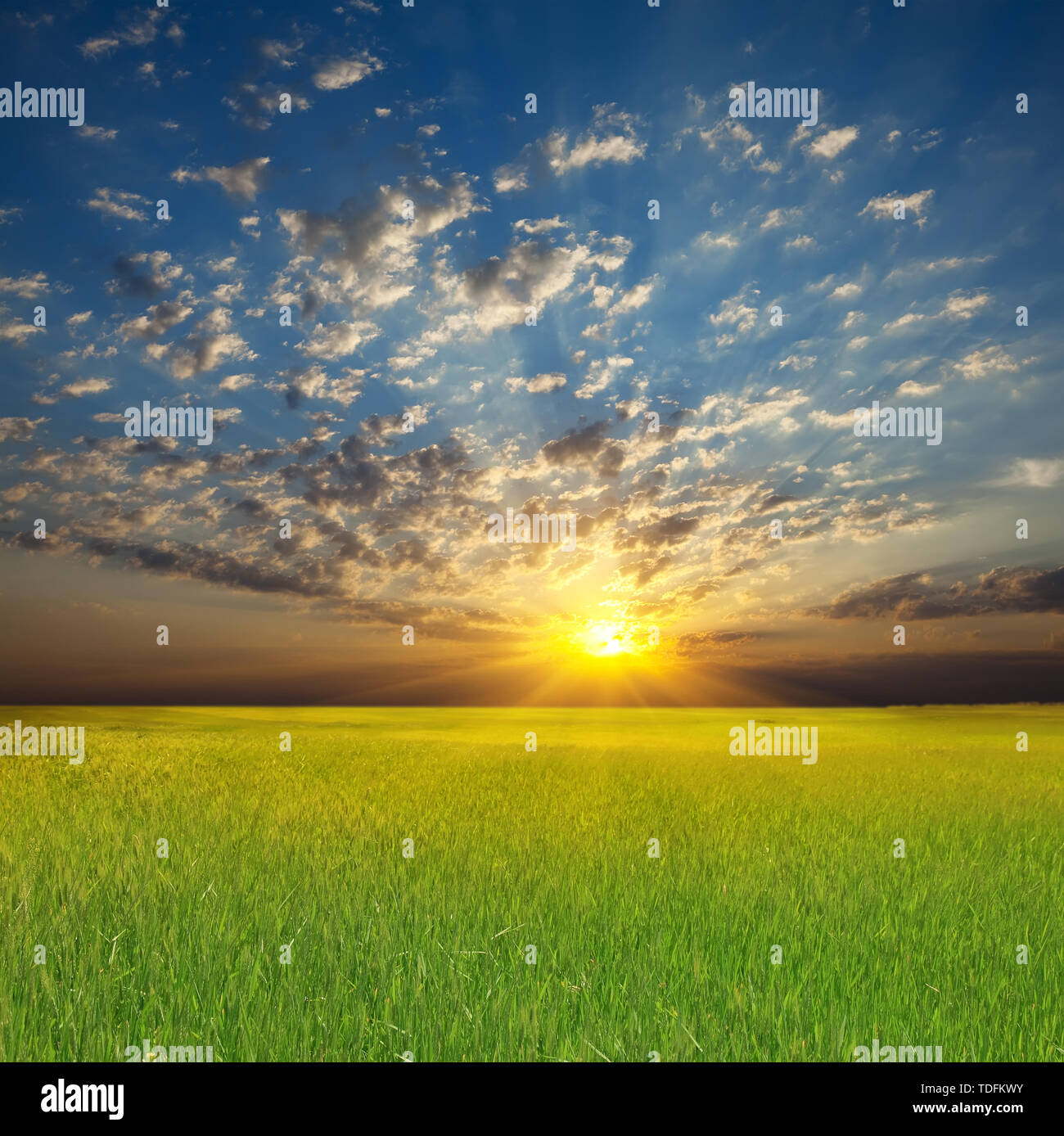 Sky background material blue sky sunset Stock Photo - Alamy