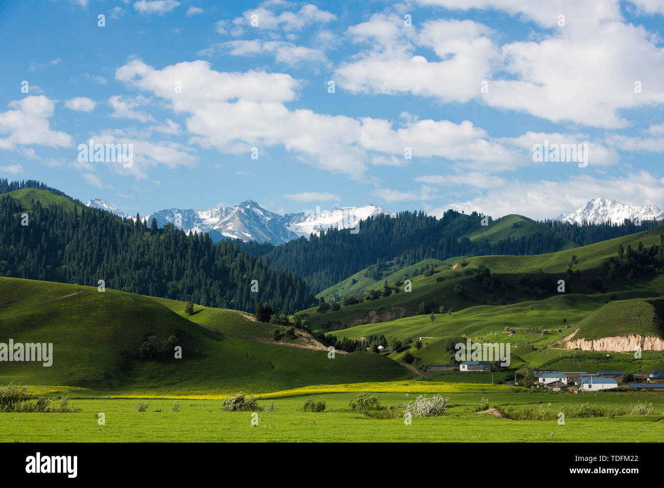The Narati Prairie, which has a river valley and a mountain prairie ...