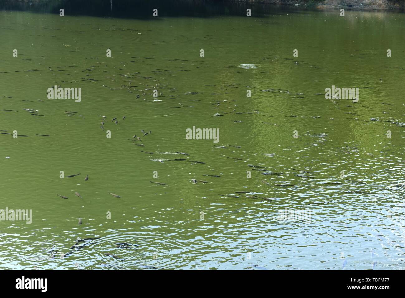 Dam mural painting hi-res stock photography and images - Alamy