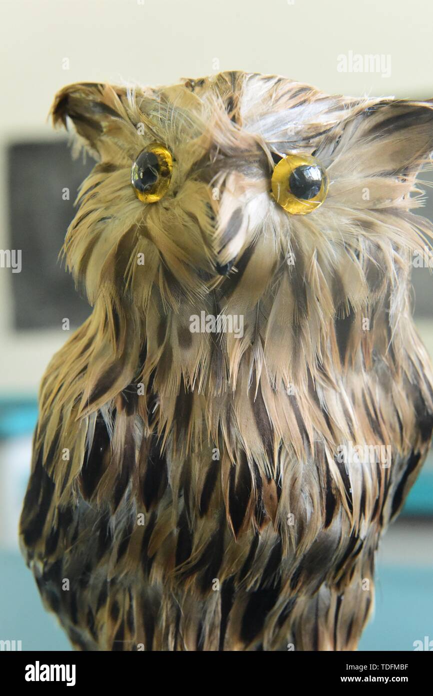 Owl model hi-res stock photography and images - Alamy