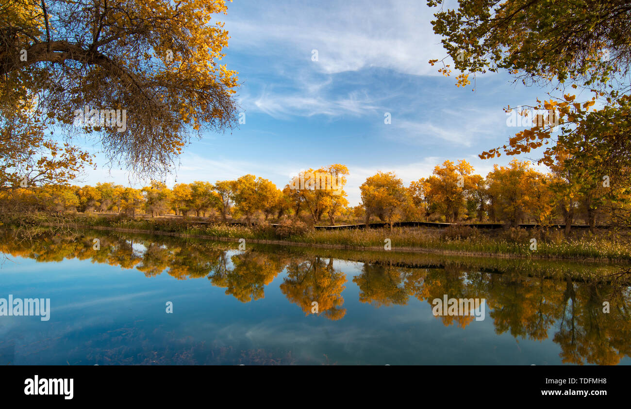 Lin yang hi-res stock photography and images - Alamy