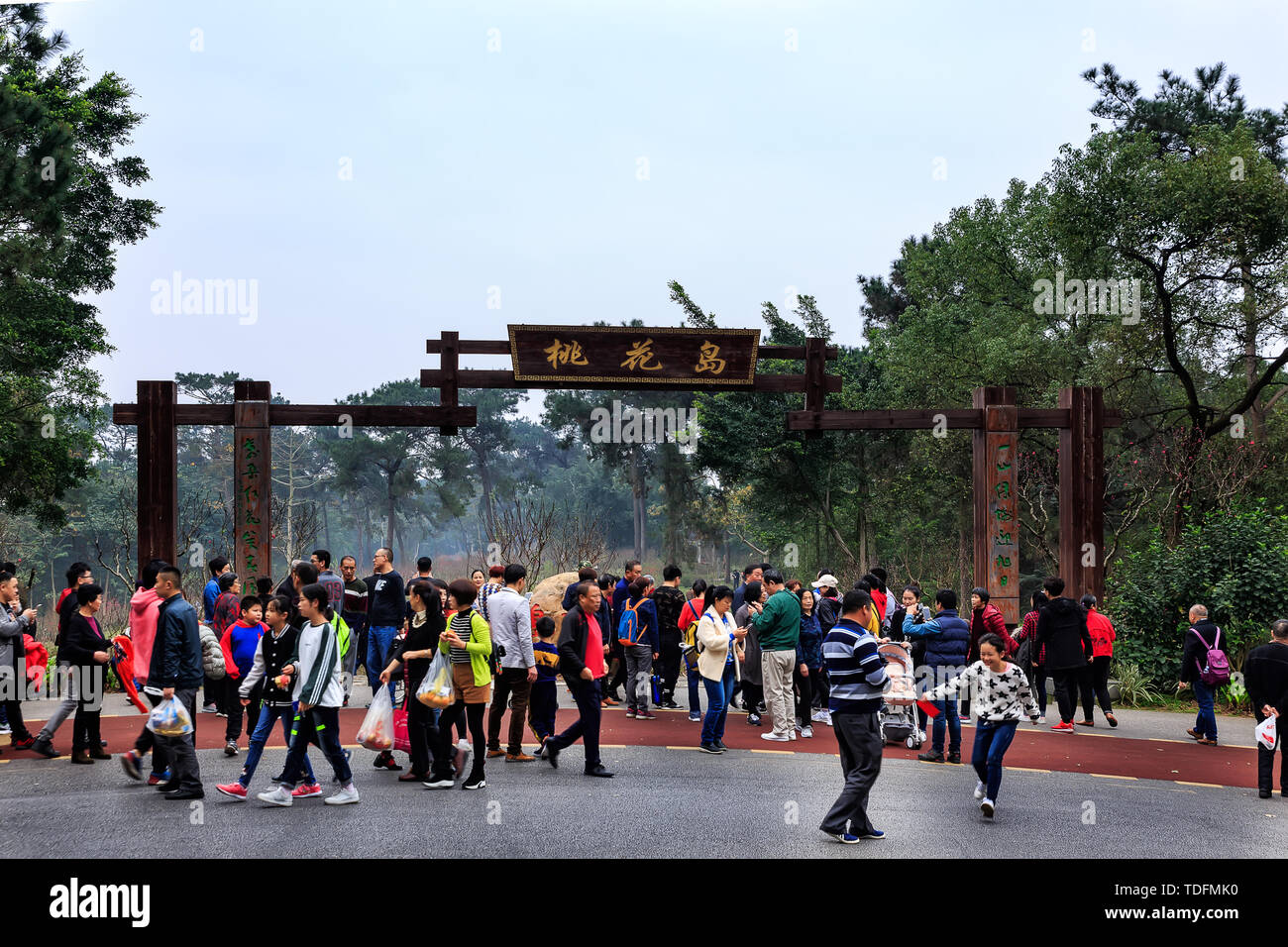 Temple fairs, Chinese New Year, blessings, incense, tulips, food ...