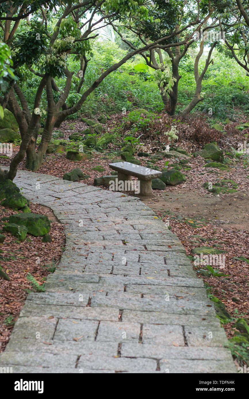 The bluestone road in the park Stock Photo - Alamy