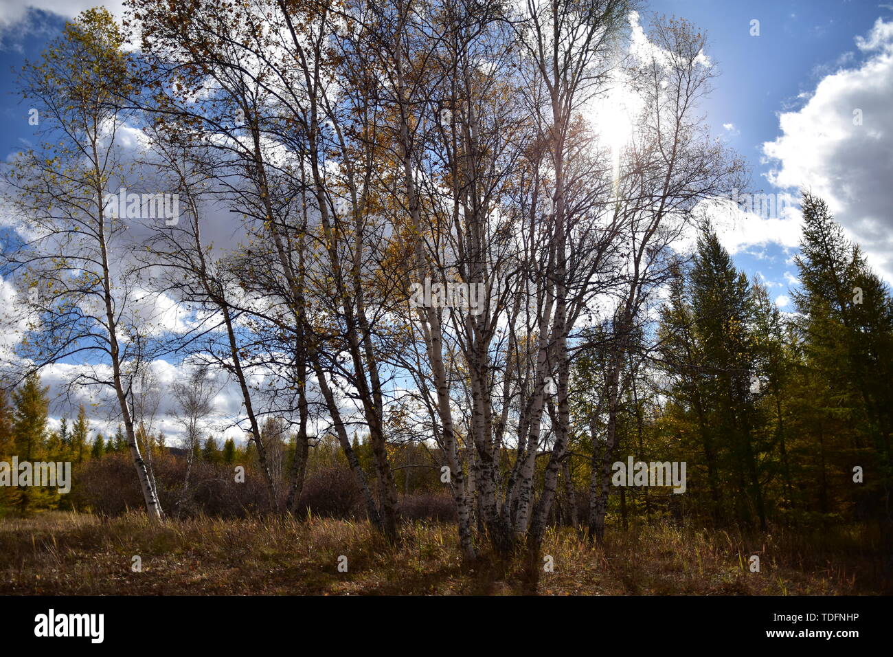 Saihan dam scenery Stock Photo - Alamy