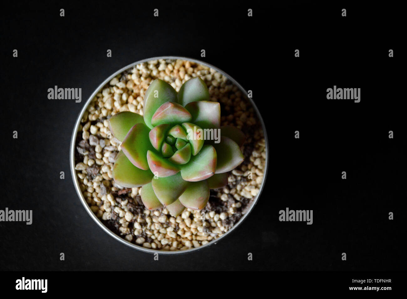 Huang li hi-res stock photography and images - Alamy