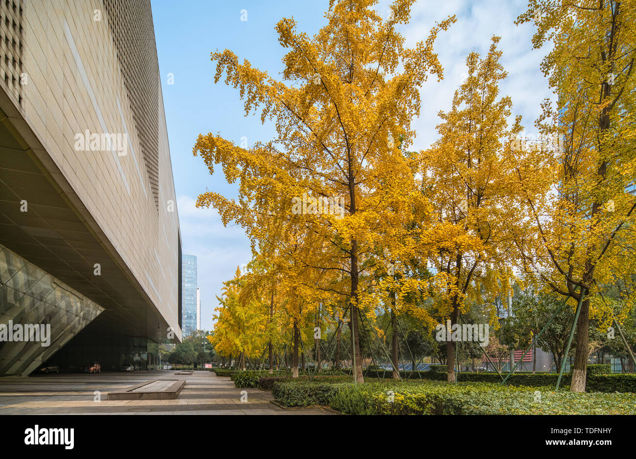 Chengdu planning hall hi-res stock photography and images - Alamy