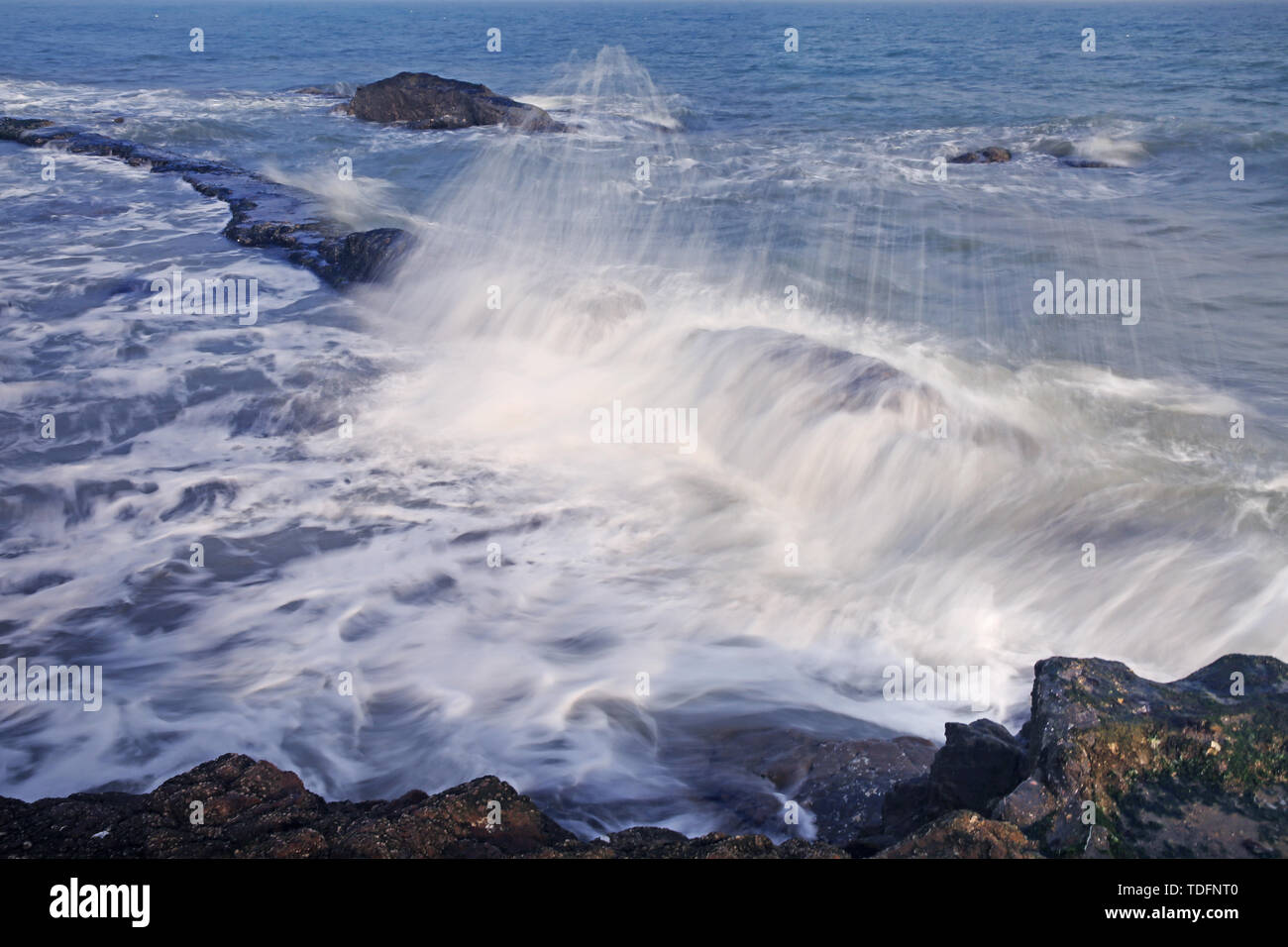 A group of pictures of the soul of the sea Stock Photo - Alamy
