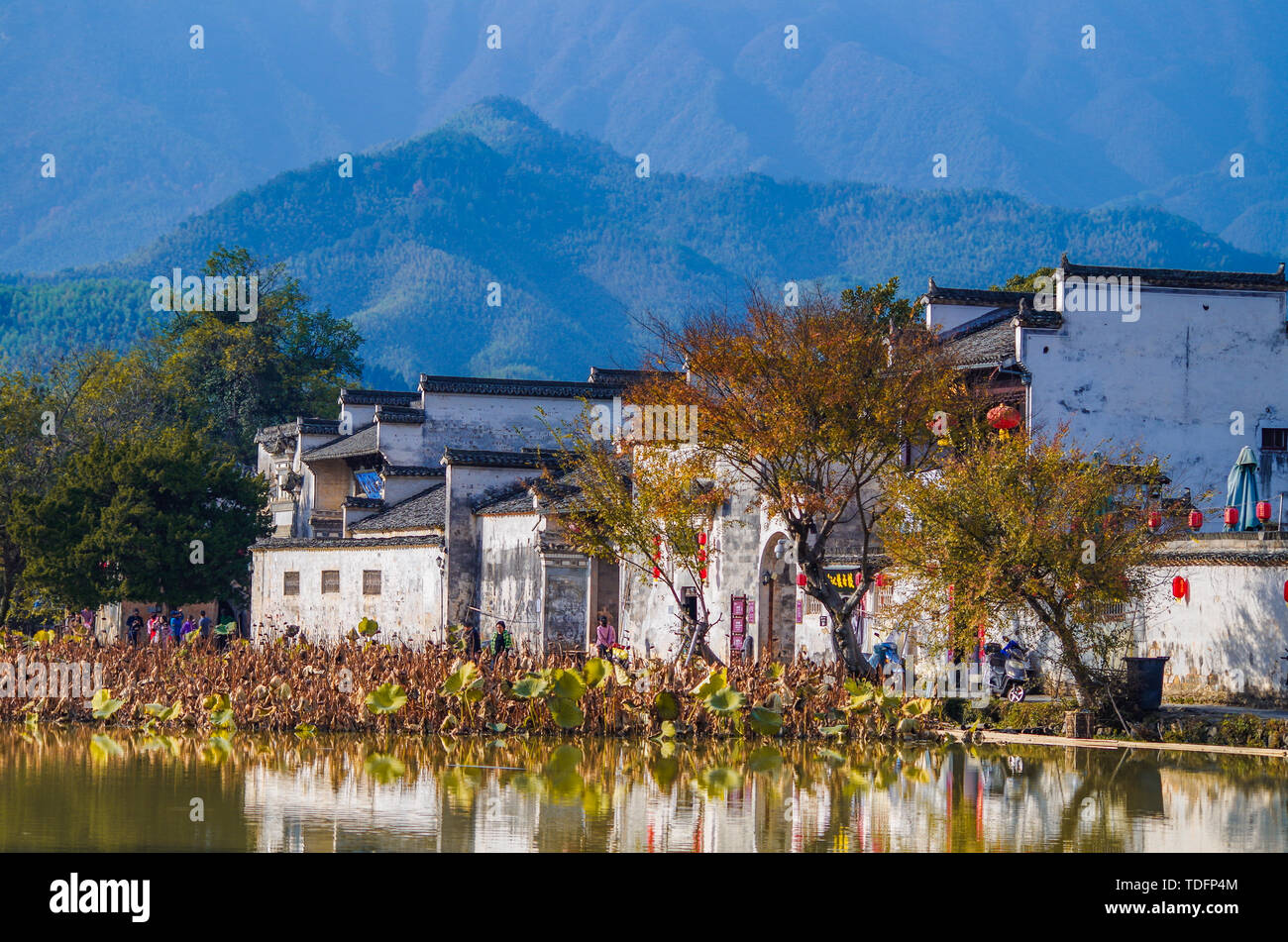 Traditional residential hui architecture hi-res stock photography and ...