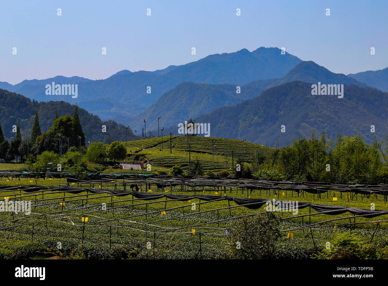Lishui scenery hi-res stock photography and images - Alamy
