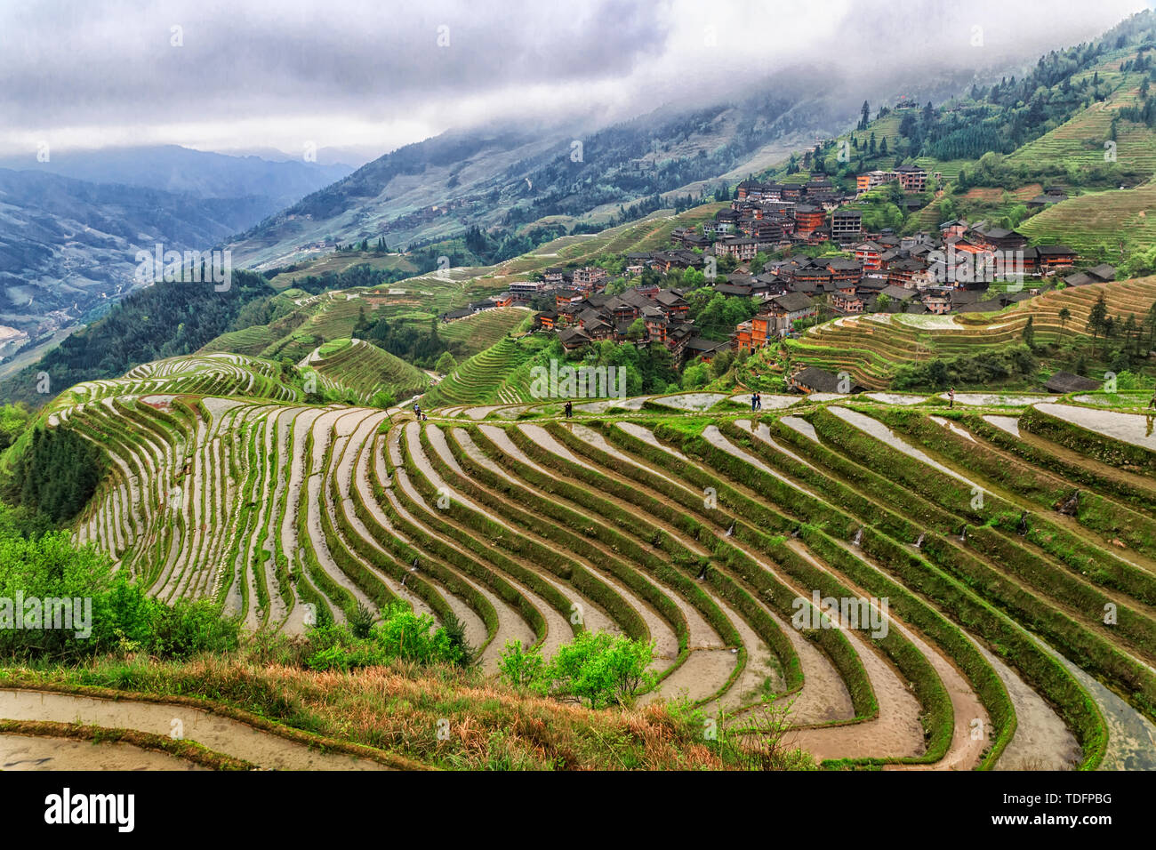 Nature nature tourism landscape landscape rural farmland planting ...