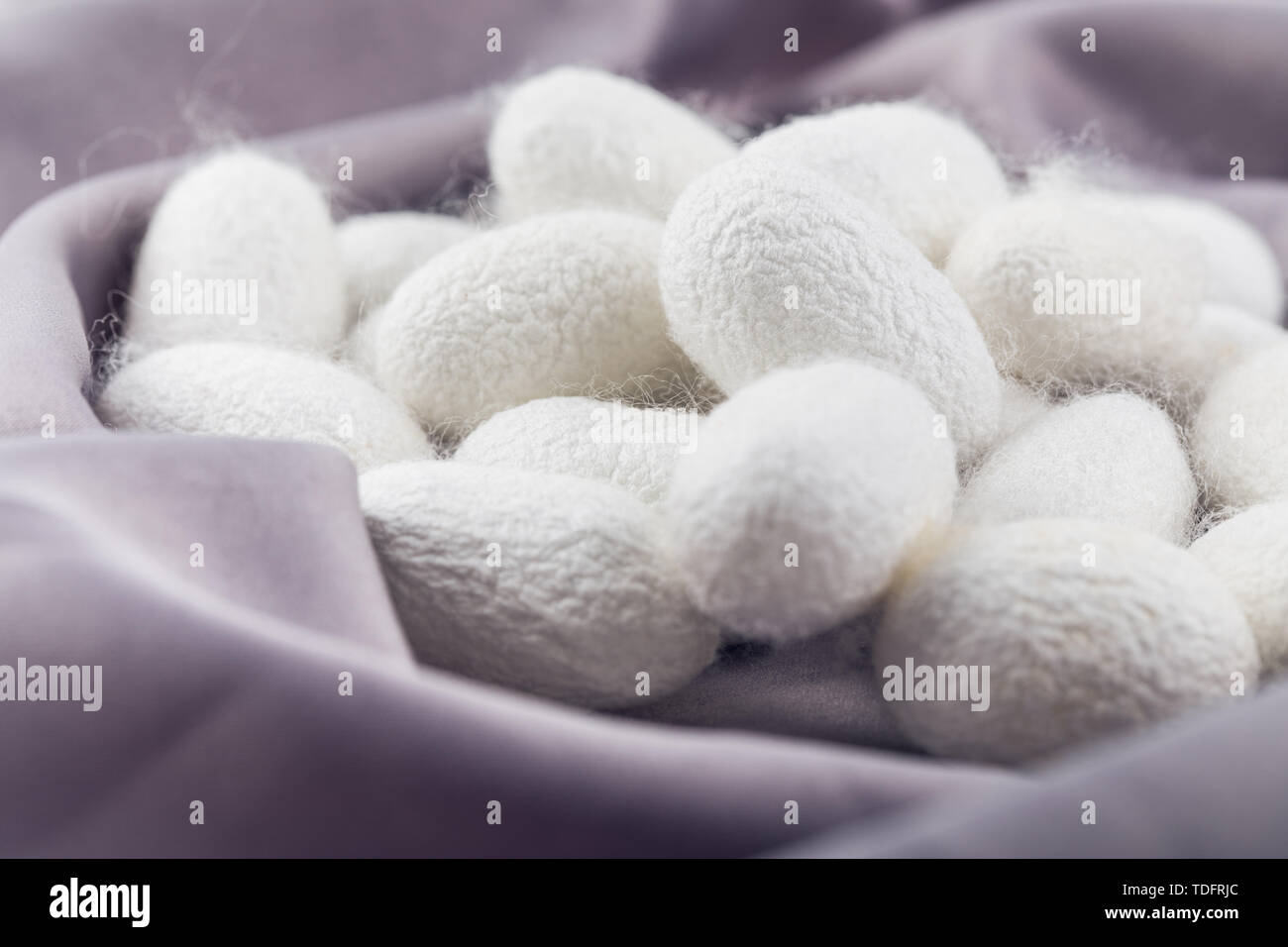Smooth cocoon hi-res stock photography and images - Alamy
