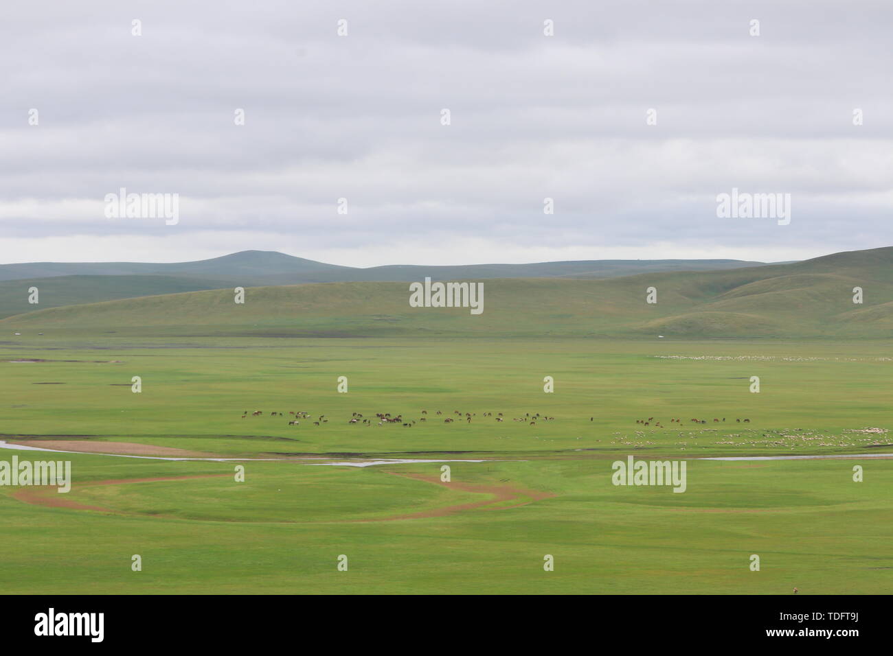 Erguna river erguna river wetland hi-res stock photography and images ...