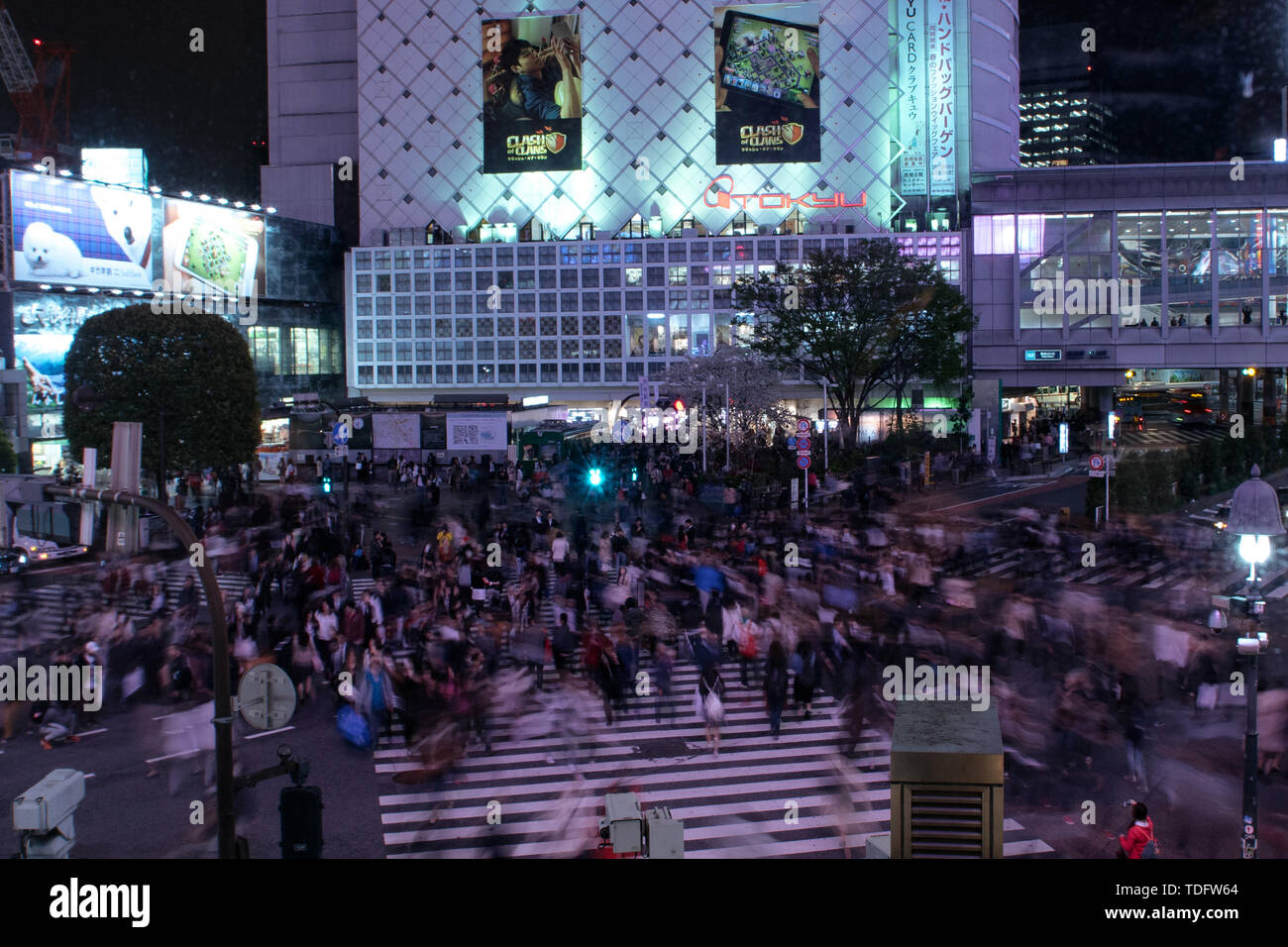 Shibuya Crossing, Tokyo, Japan Stock Photo - Alamy