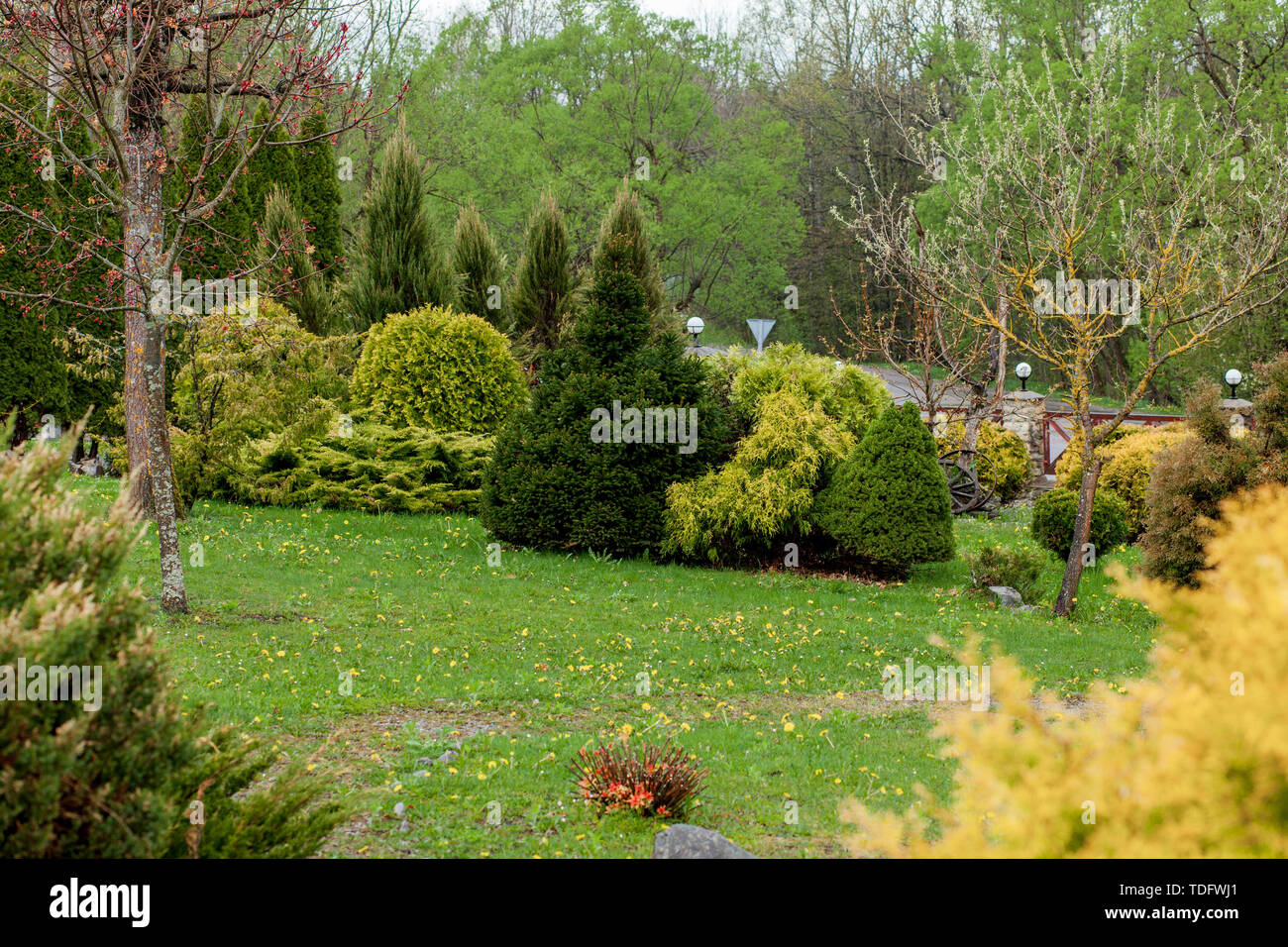 Garden, landscape of geometric shape bush and shrub decorate with ...