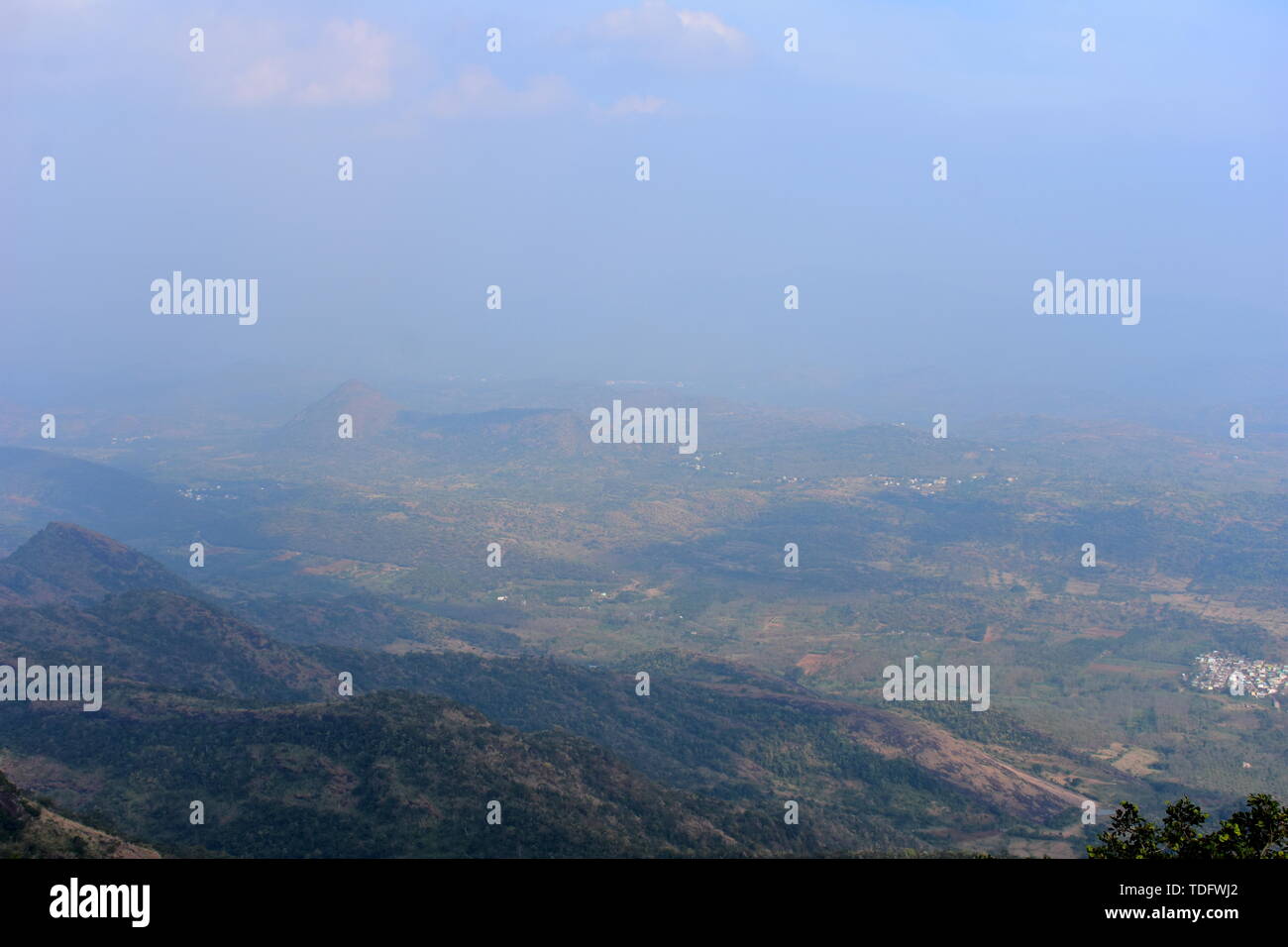 Tamil nadu flora and fauna hi-res stock photography and images - Alamy