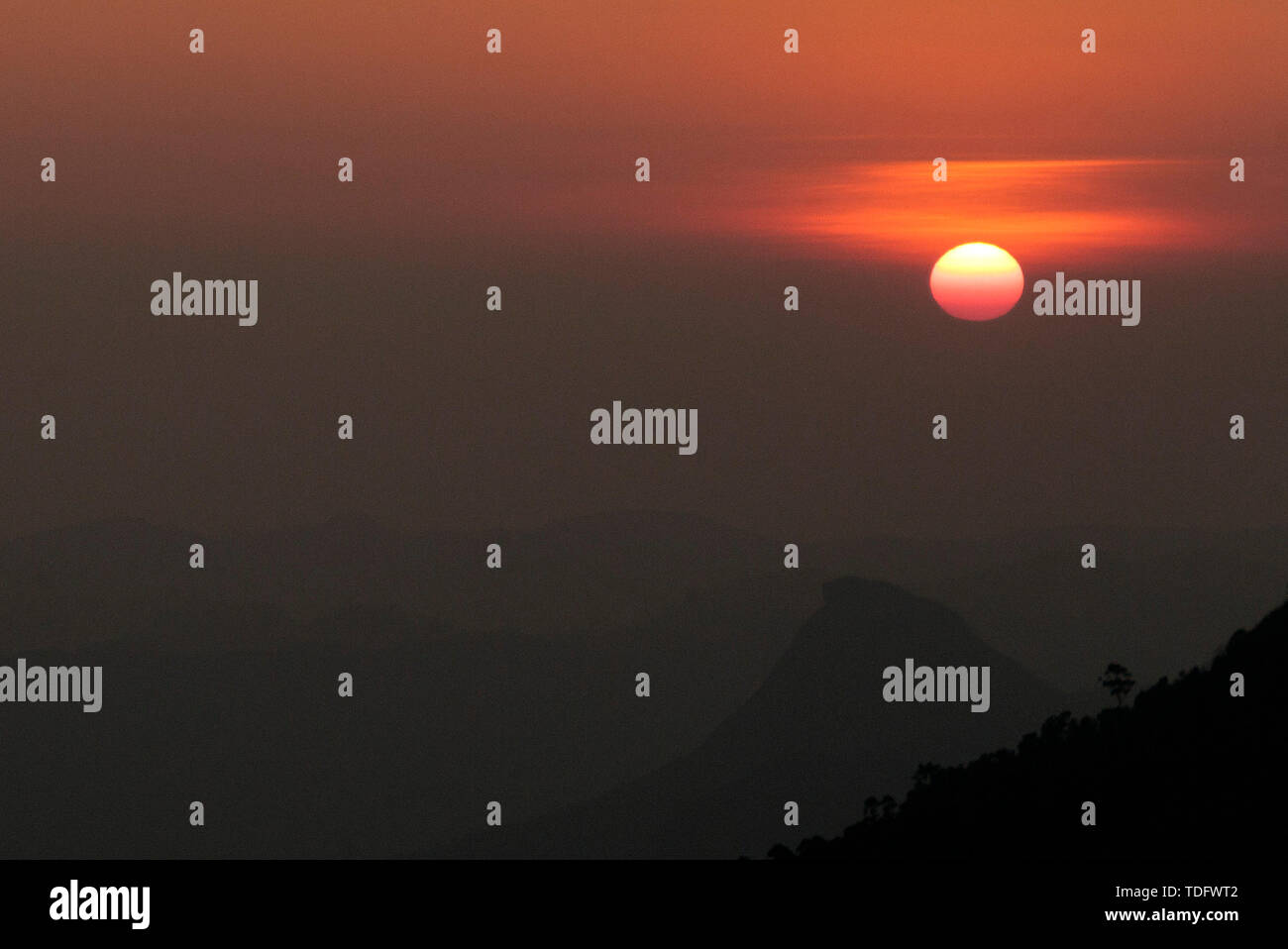 Sunset over the tea plantations of Munnar in Kerala, India Stock Photo ...