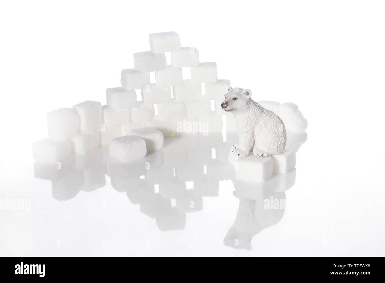 Creative shot of Sugar and Polar Bear Stock Photo - Alamy