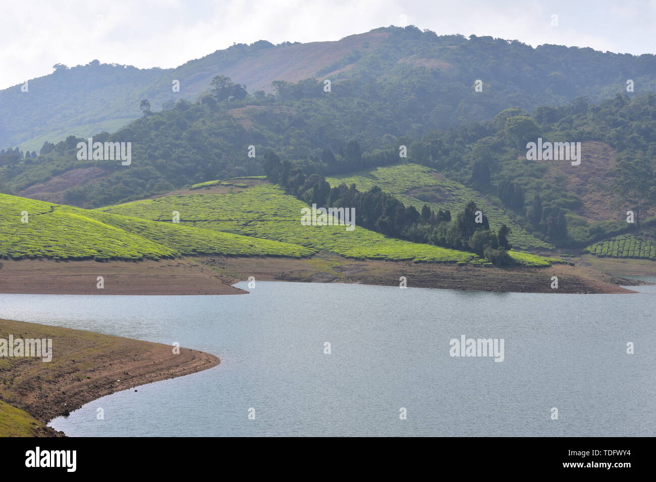 Meghamalai hills hi-res stock photography and images - Alamy
