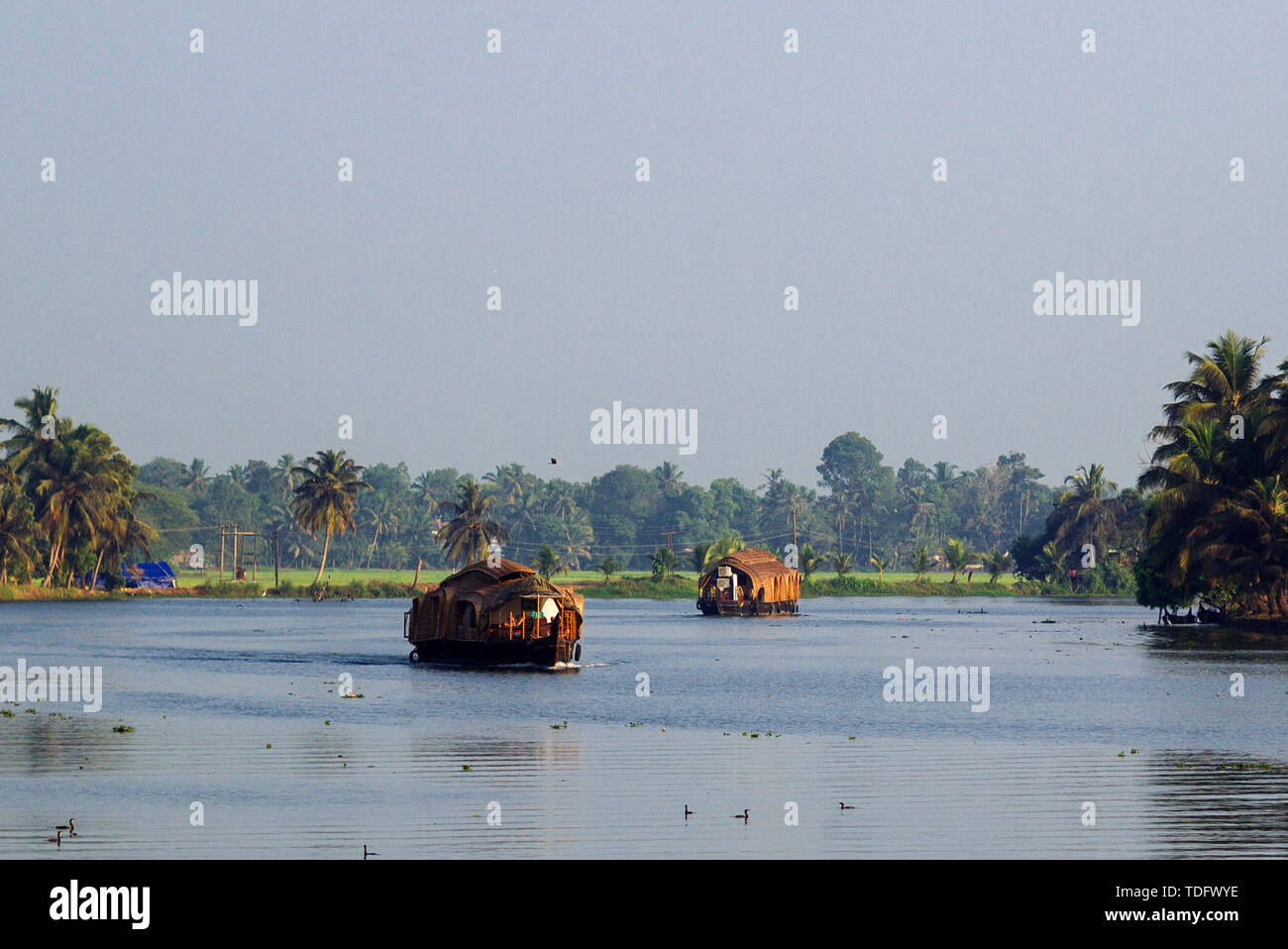 Traditional Indian Houseboats cruise down the Kerala backwater near ...
