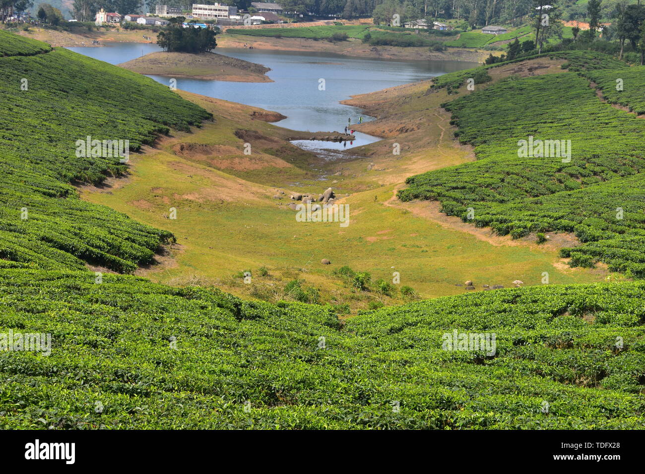 Meghamalai hi-res stock photography and images - Alamy