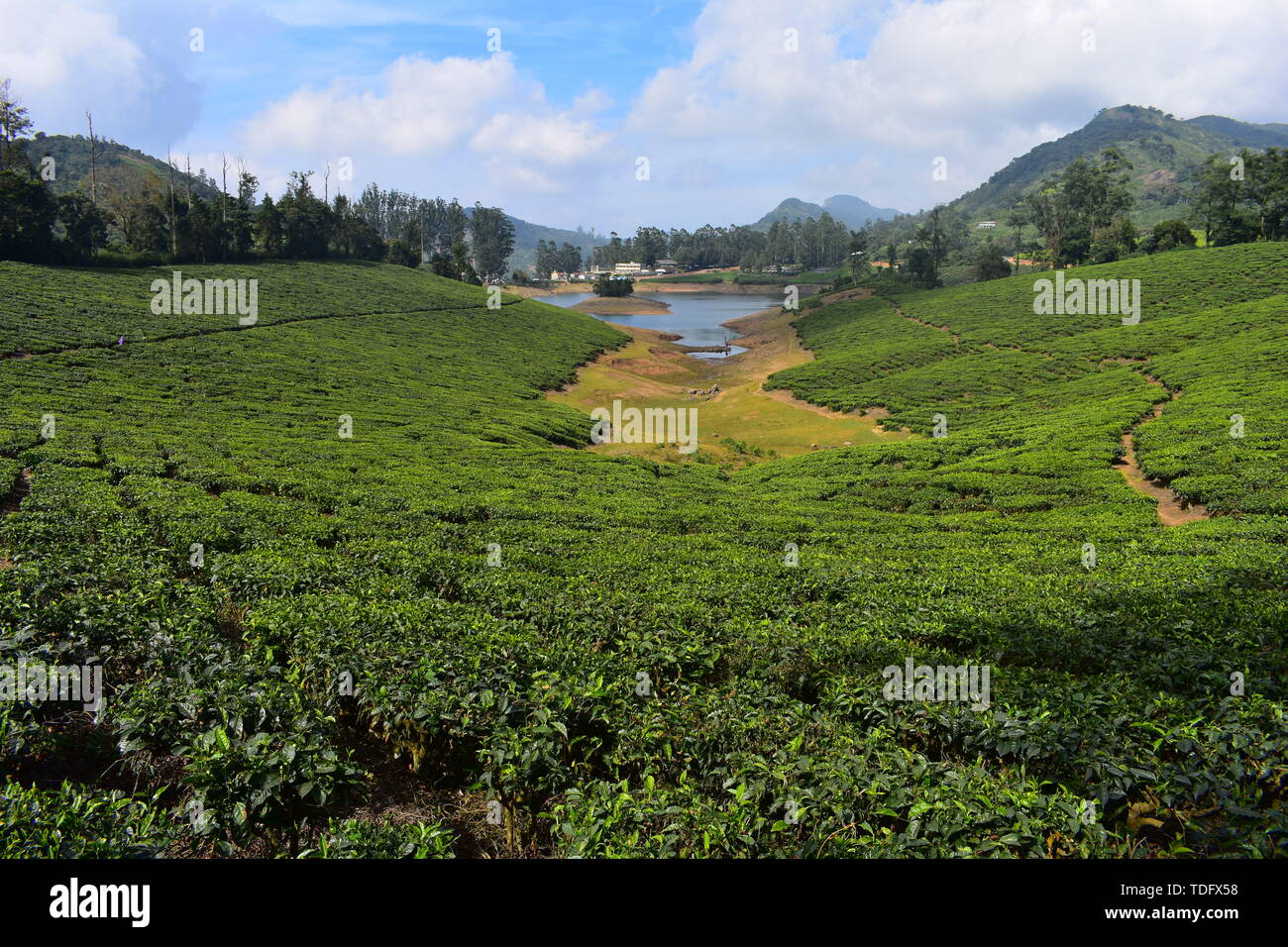 Meghamalai hills hi-res stock photography and images - Alamy