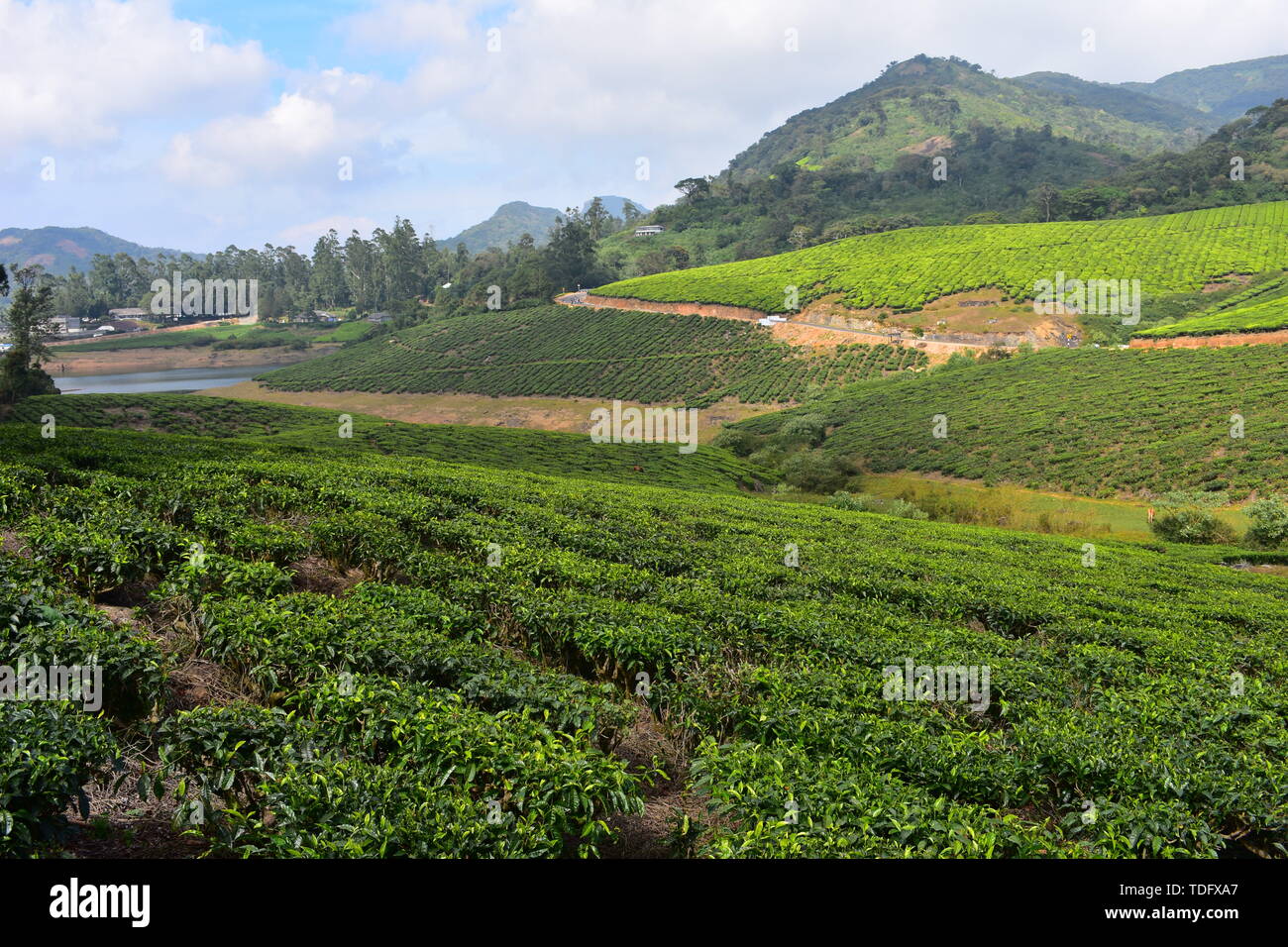 Meghamalai High Wavy Mountains - The Hidden Paradise Stock Photo - Alamy