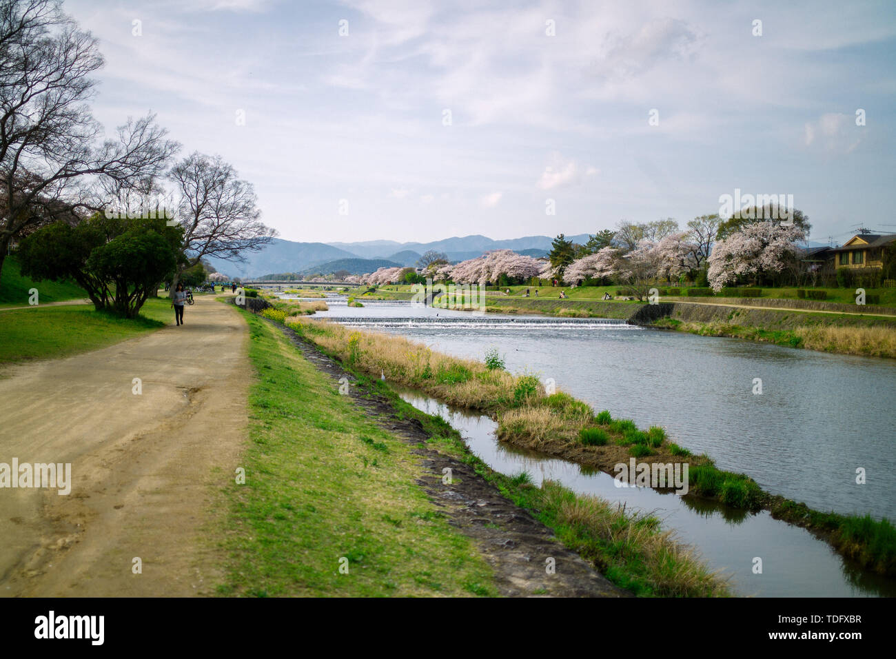 he Kamo River is located in Kyoto Prefecture, Japan. The riverbanks are ...