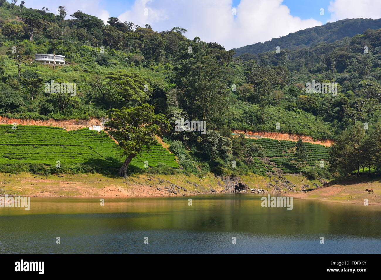 Meghamalai hi-res stock photography and images - Alamy