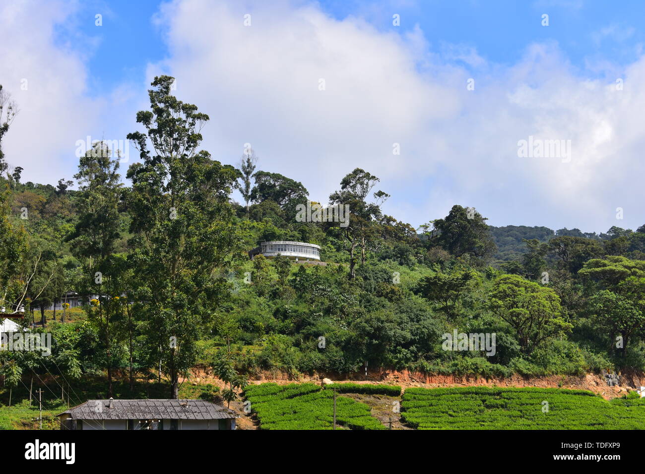 Meghamalai tea estate hi-res stock photography and images - Alamy