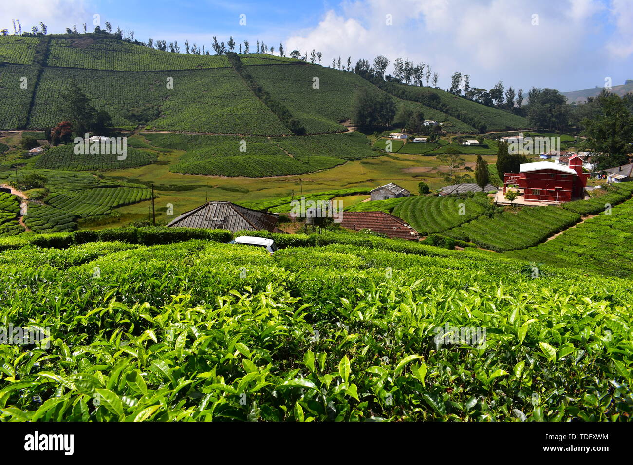 Meghamalai High Wavy Mountains - The Hidden Paradise Stock Photo - Alamy