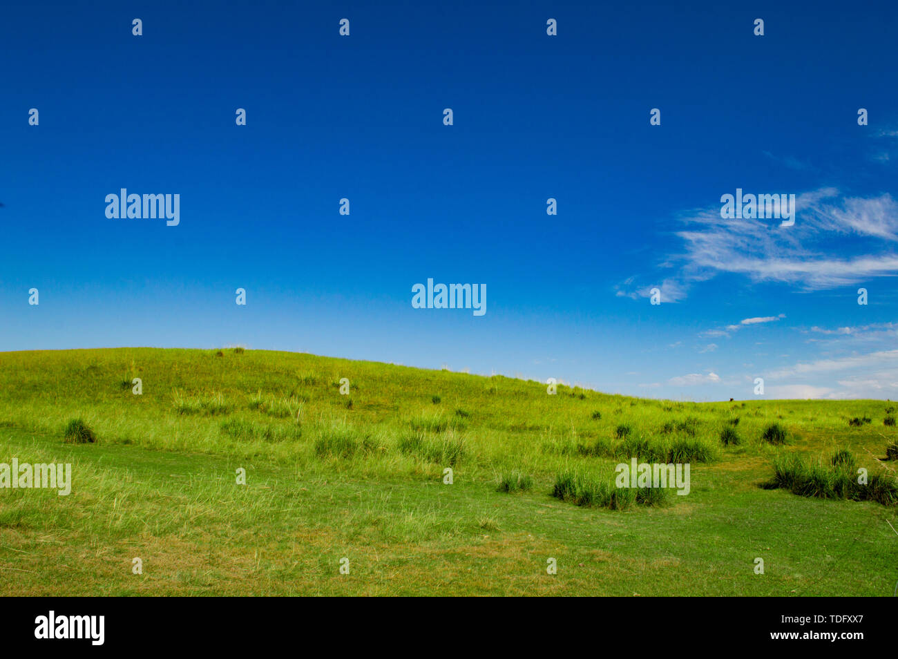Comfortable weather and soil tourism hi-res stock photography and ...