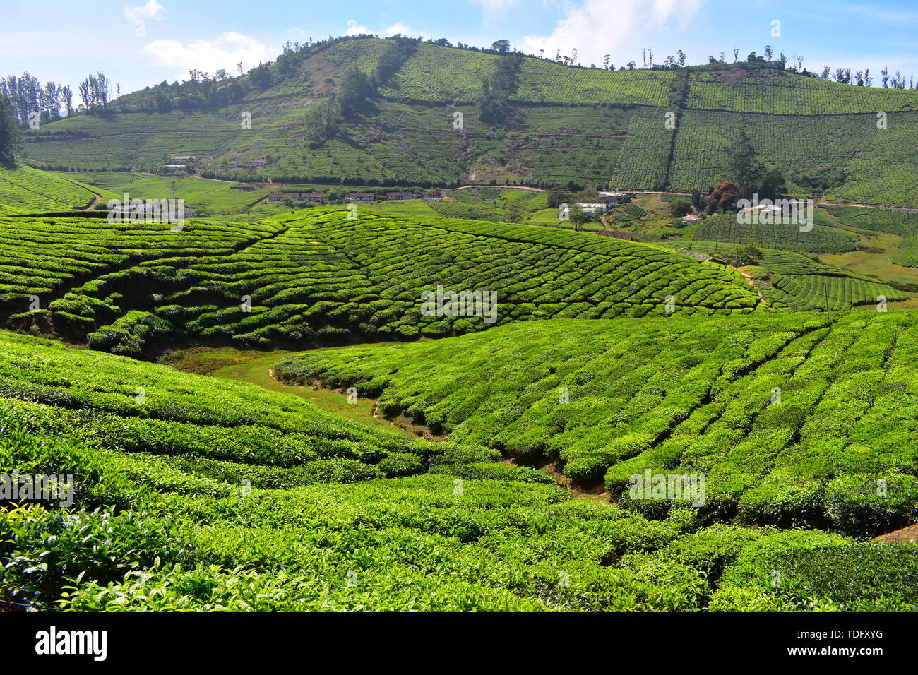 Meghamalai High Wavy Mountains - The Hidden Paradise Stock Photo - Alamy