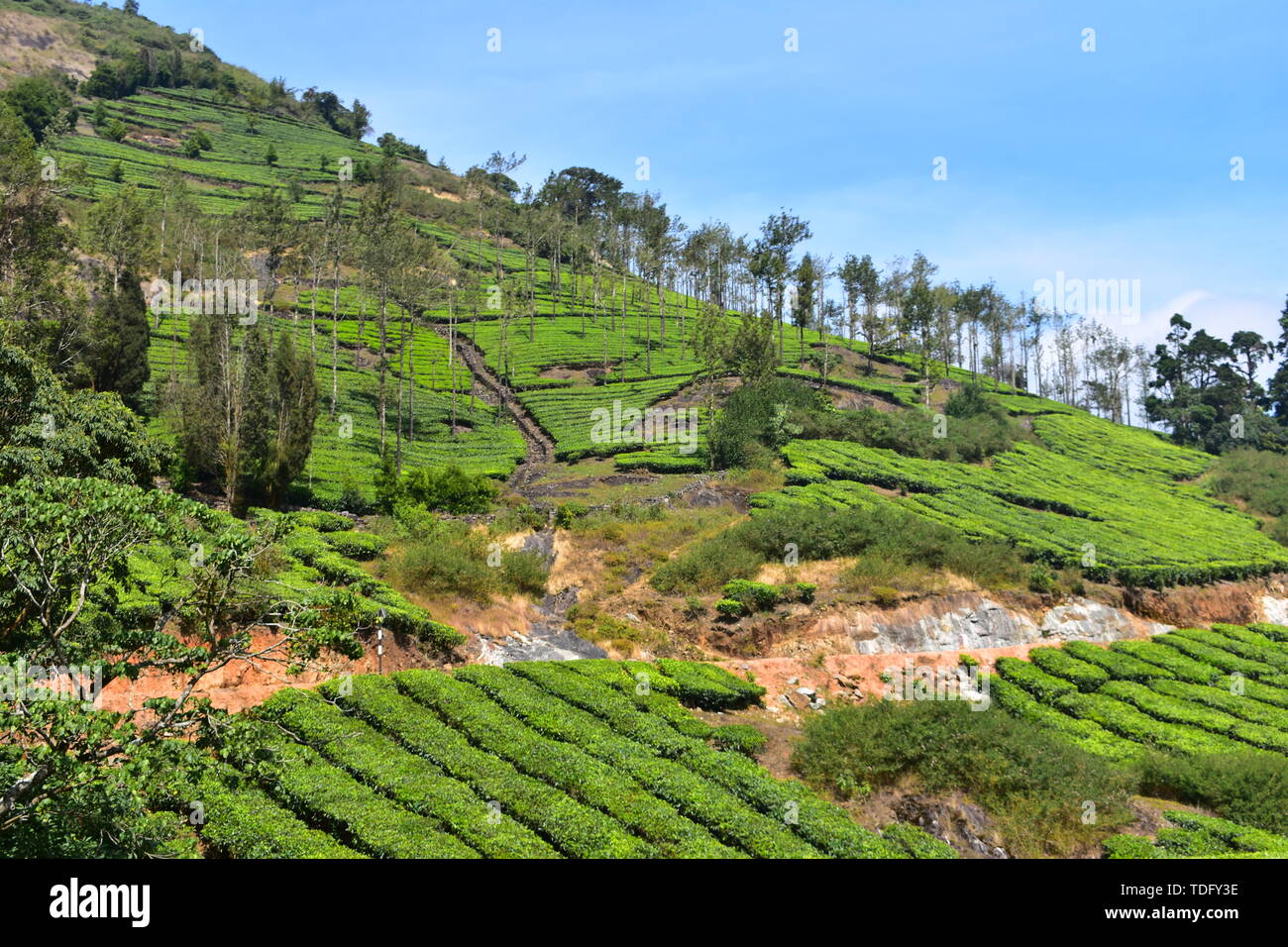 Meghamalai High Wavy Mountains - The Hidden Paradise Stock Photo - Alamy