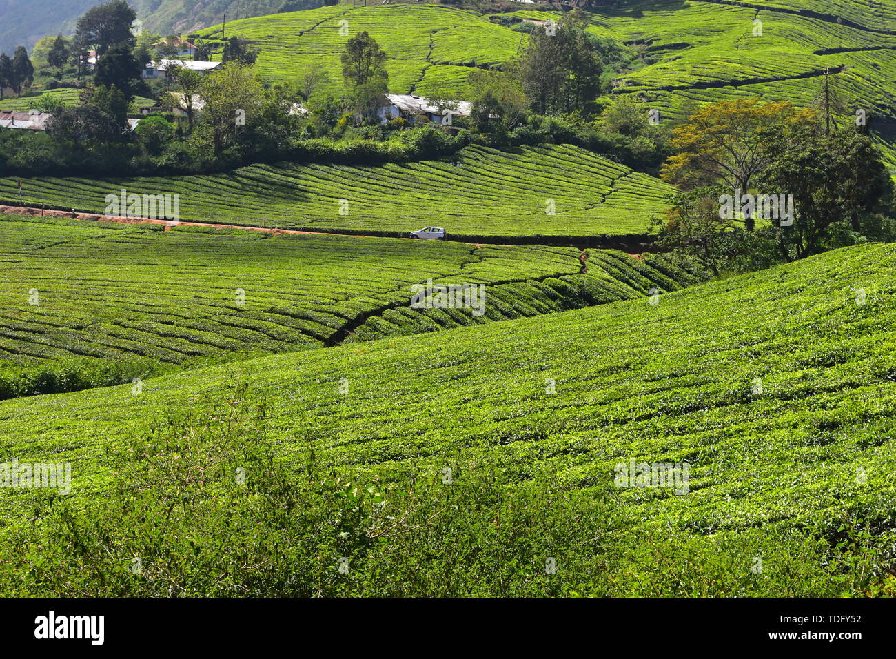 Meghamalai hills hi-res stock photography and images - Alamy