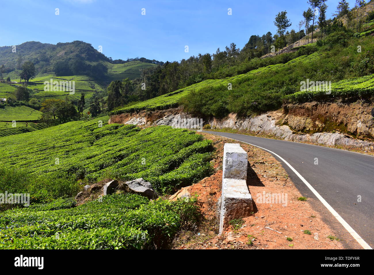 Meghamalai hills hi-res stock photography and images - Alamy