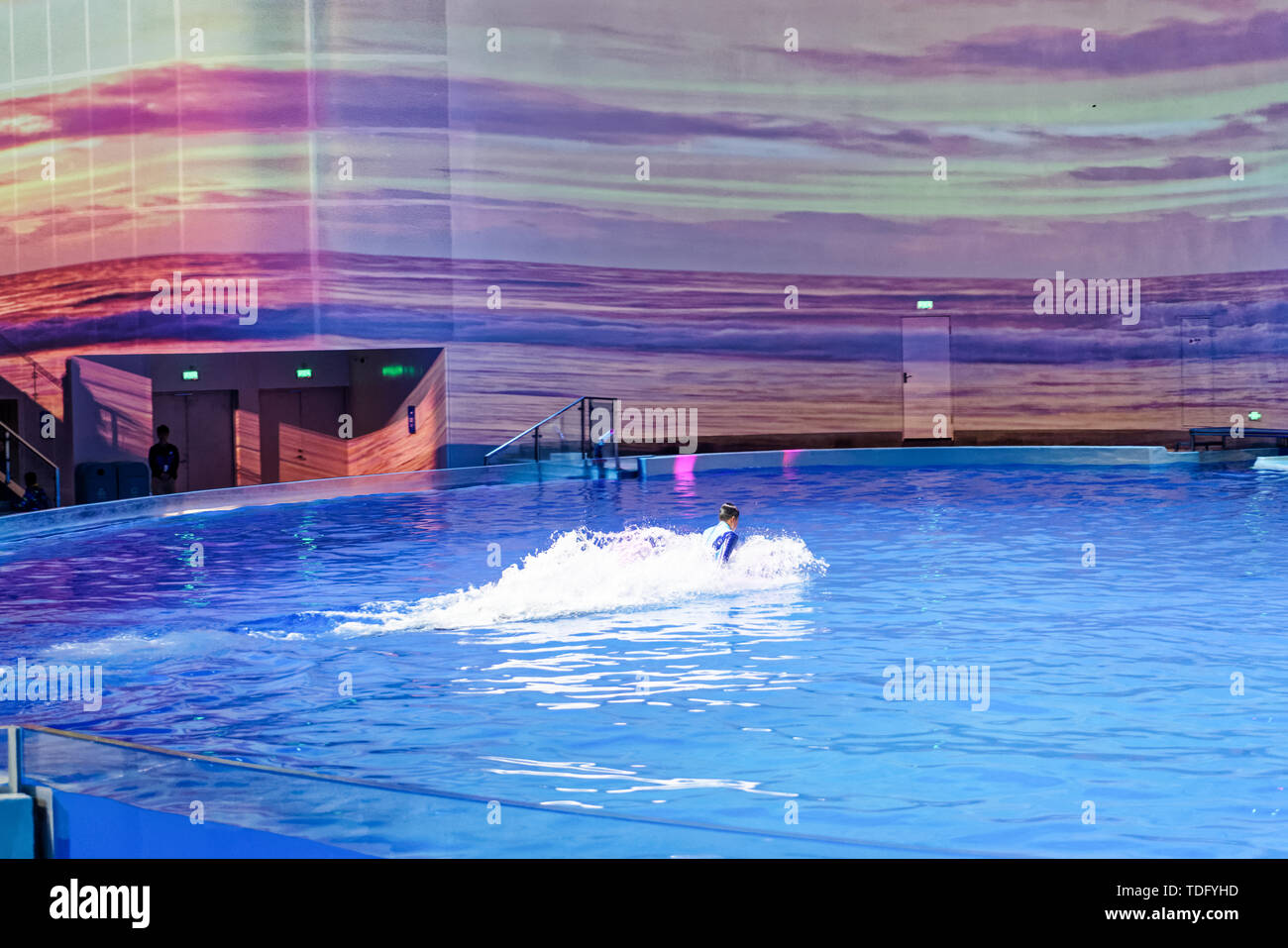 Shanghai Haichang Ocean Park Dolphin Museum Stock Photo - Alamy