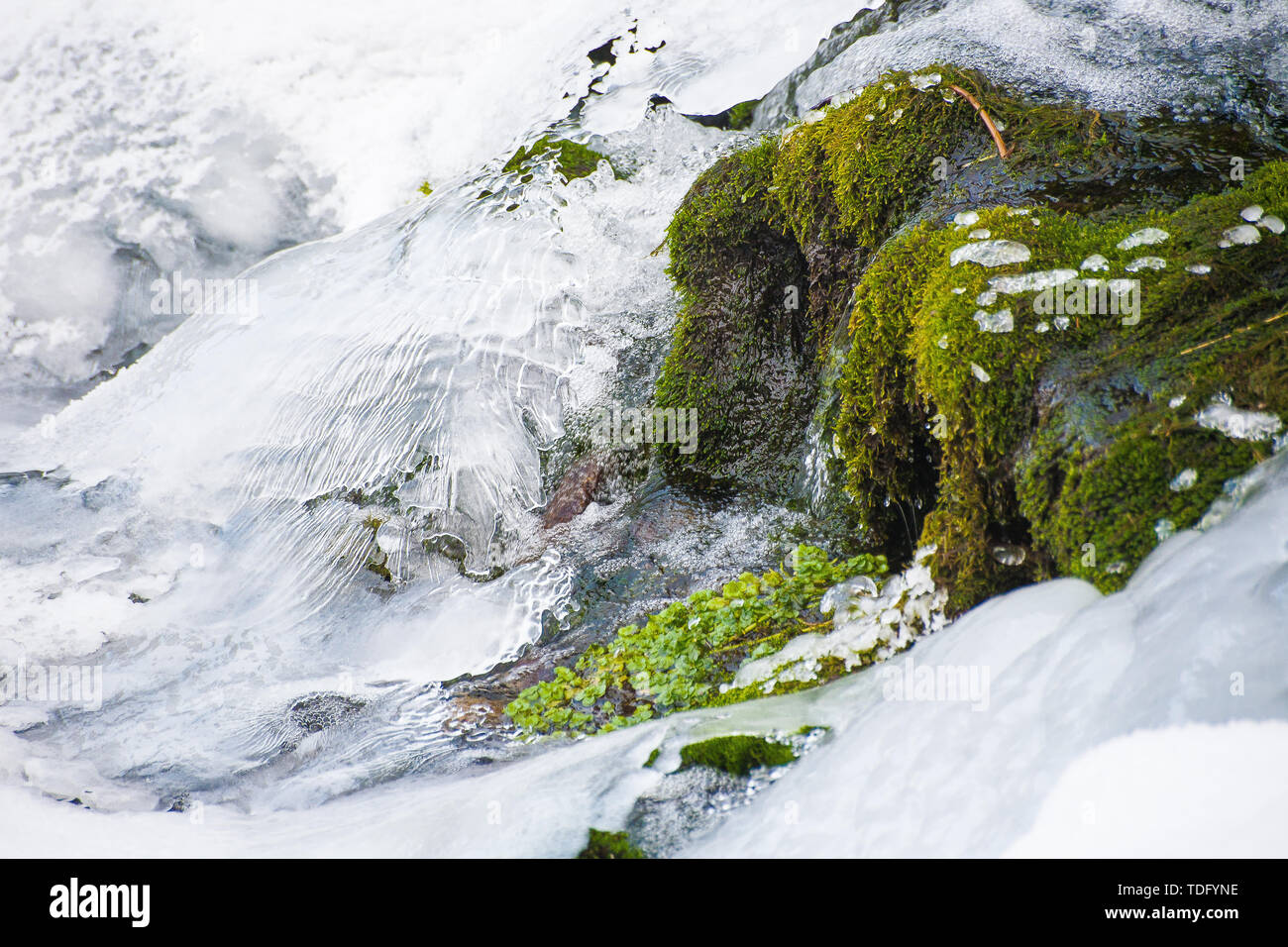 A thin layer of ice on the stream in Tianchi Scenic Area in Tianshan ...