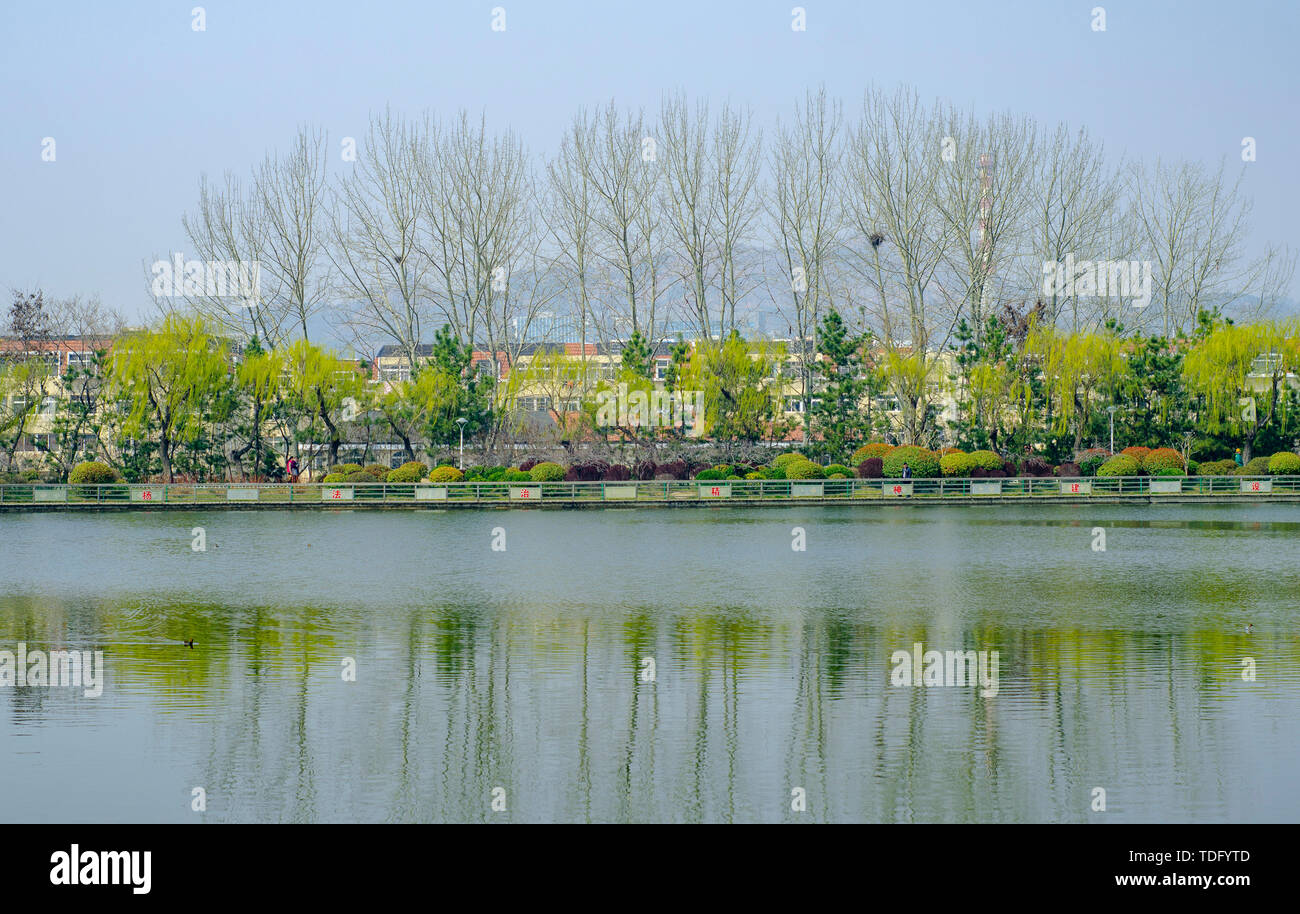 Row Of Willows High Resolution Stock Photography and Images - Alamy