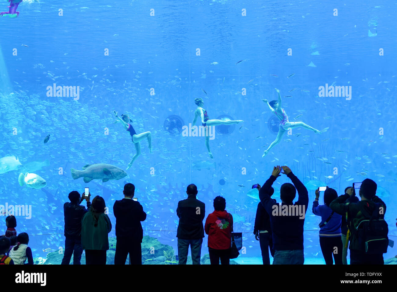 Mermaid performance at Haichang Ocean Park, Shanghai Stock Photo - Alamy