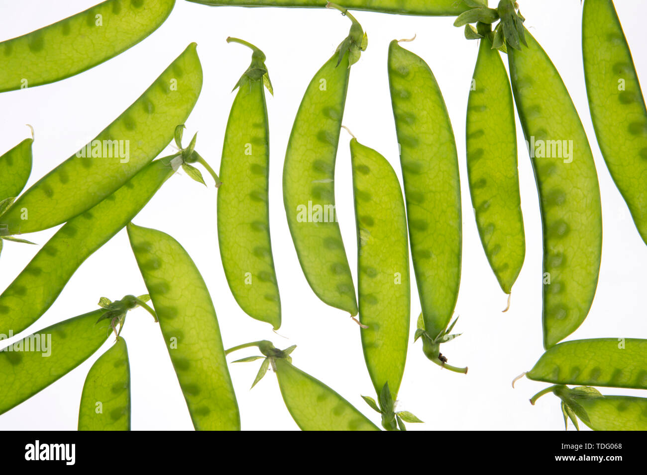 Dutch beans hi-res stock photography and images - Alamy