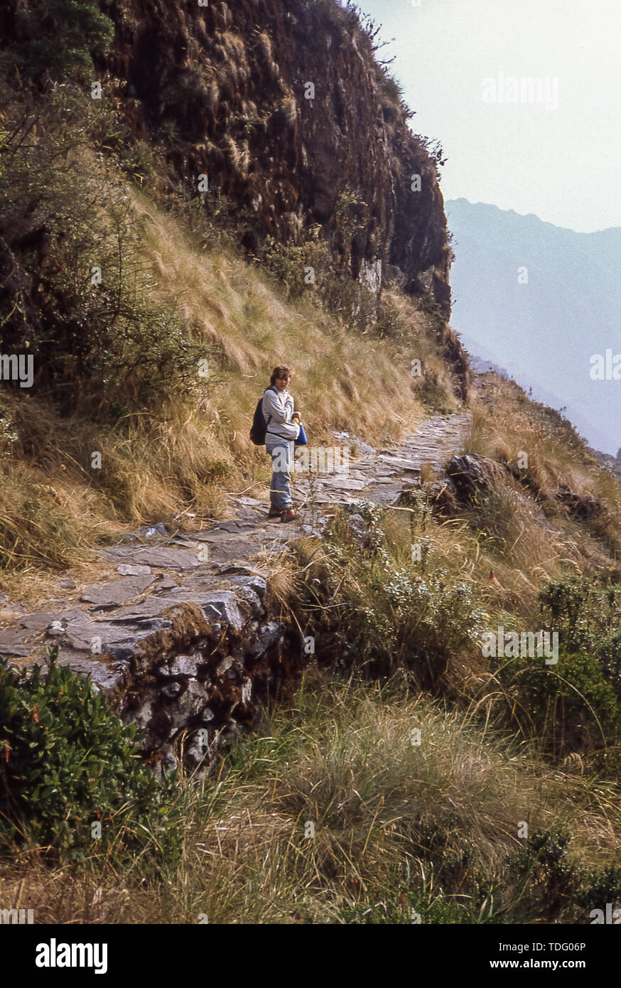 Old inca stone path machu picchu road hi-res stock photography and ...