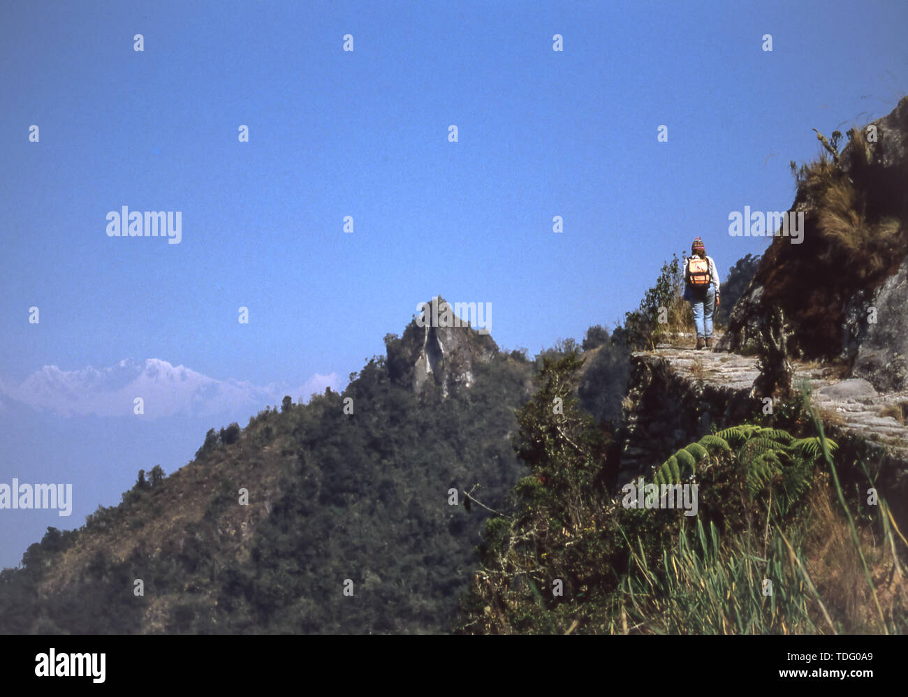 Old inca stone path machu picchu road hi-res stock photography and ...