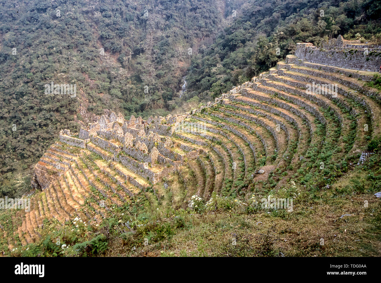 Old inca stone path machu picchu road hi-res stock photography and ...