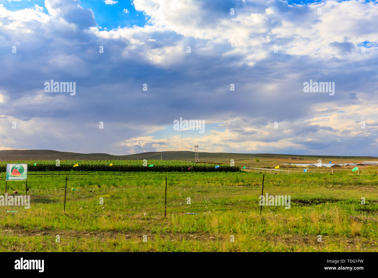 Summer in Hulunbuir Prairie, Inner Mongolia Stock Photo - Alamy