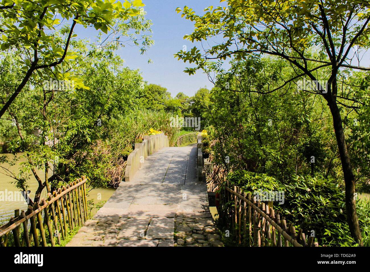 Scenery of Xixi Wetland Park in Hangzhou Stock Photo - Alamy