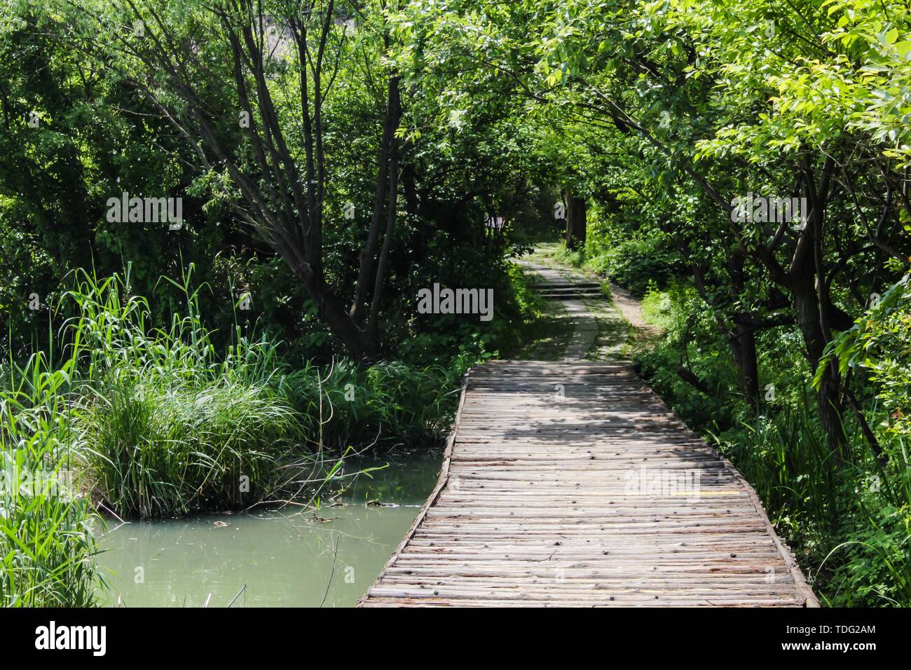 Scenery of Xixi Wetland Park in Hangzhou Stock Photo - Alamy