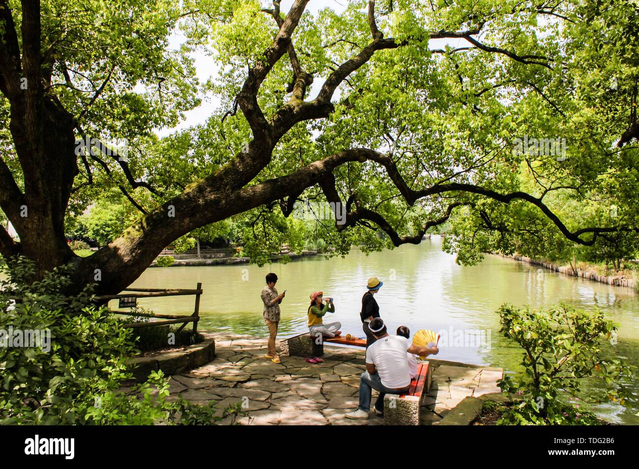 Scenery of Xixi Wetland Park in Hangzhou Stock Photo - Alamy