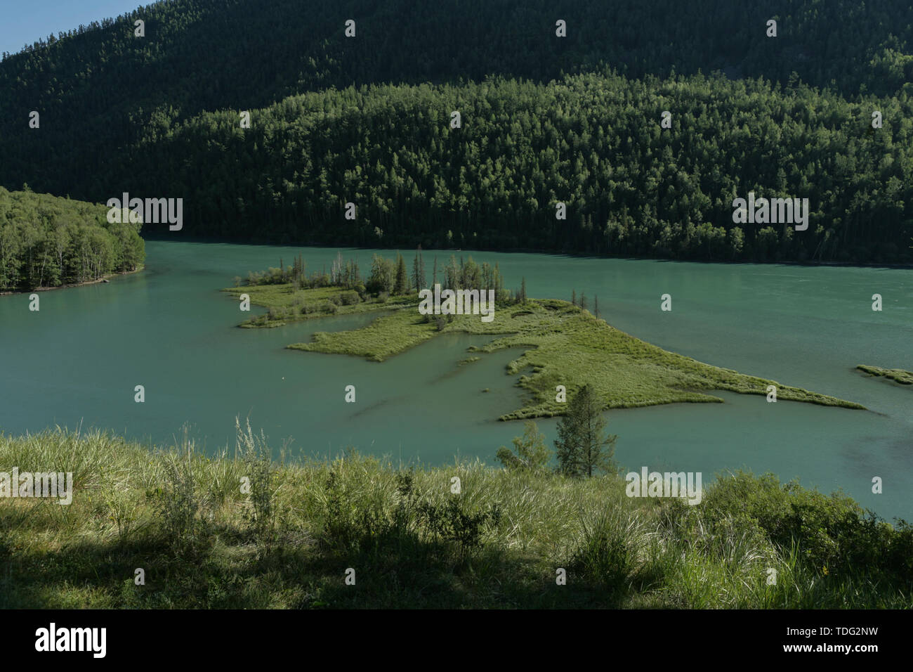 Landscape of green grassland of Kanas River in Kanas Lake, Altai ...